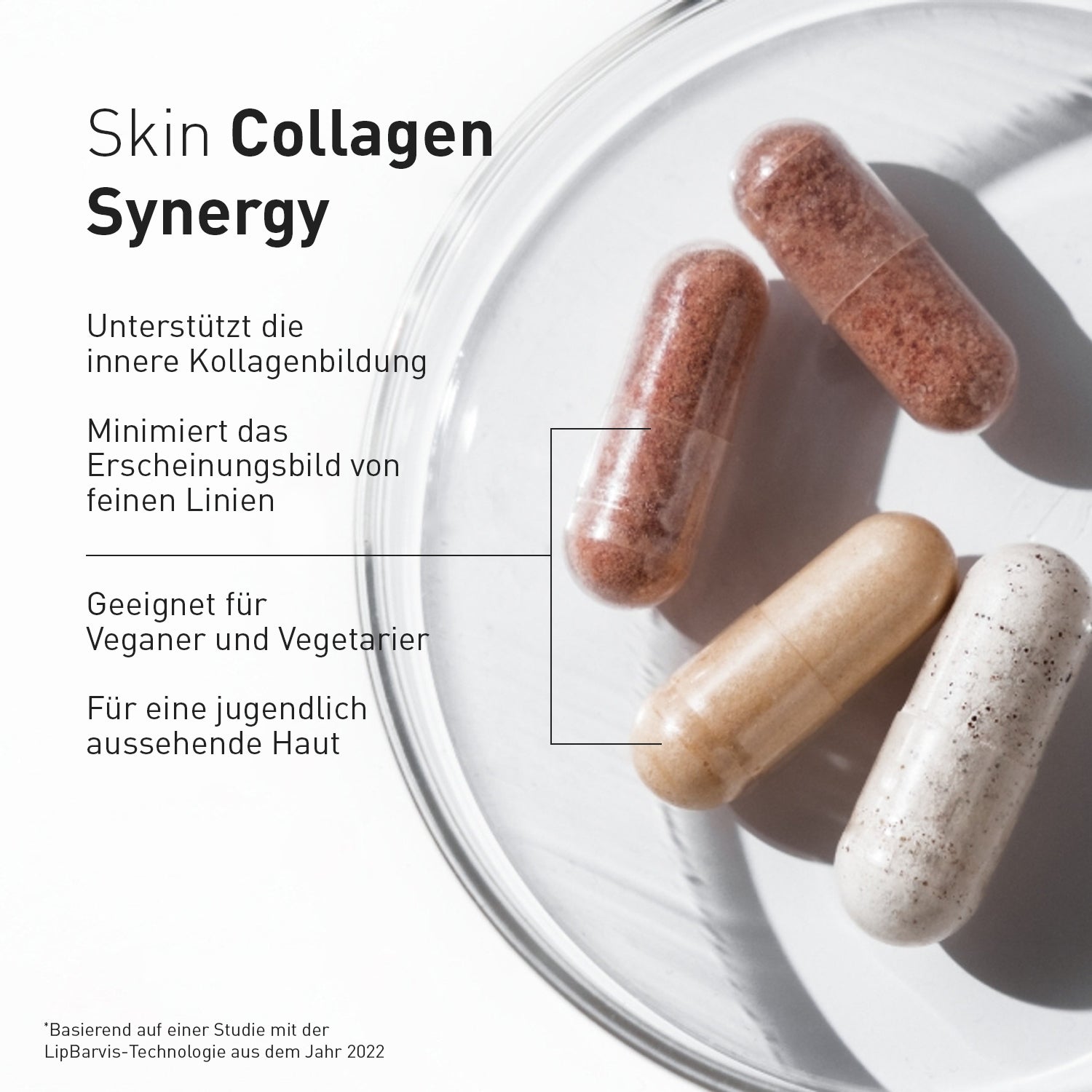 Advanced Nutrition Programme - Skin Collagen Synergy – ZEITWUNDER ...